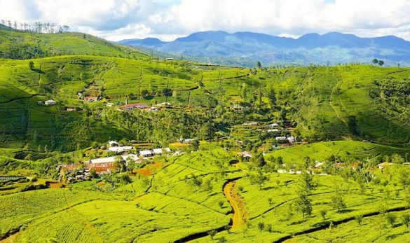 Badulla – Sri Lanka Tours and Travel Blog